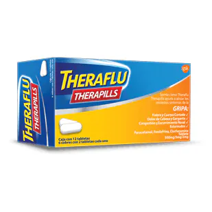 Medicamentos para la gripe y resfriado | Theraflu®